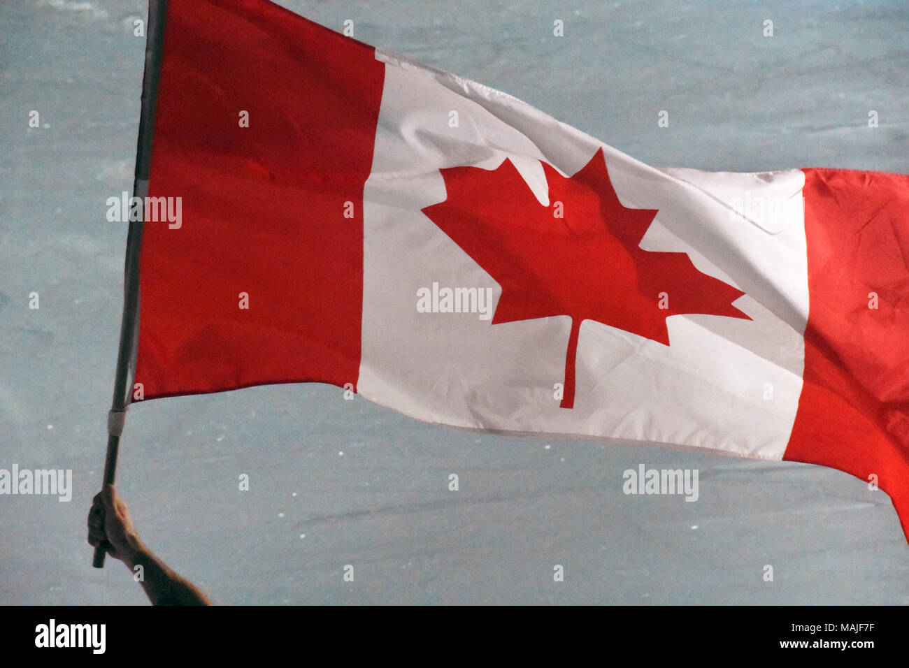 Holding canadian flag hi-res stock photography and images - Alamy