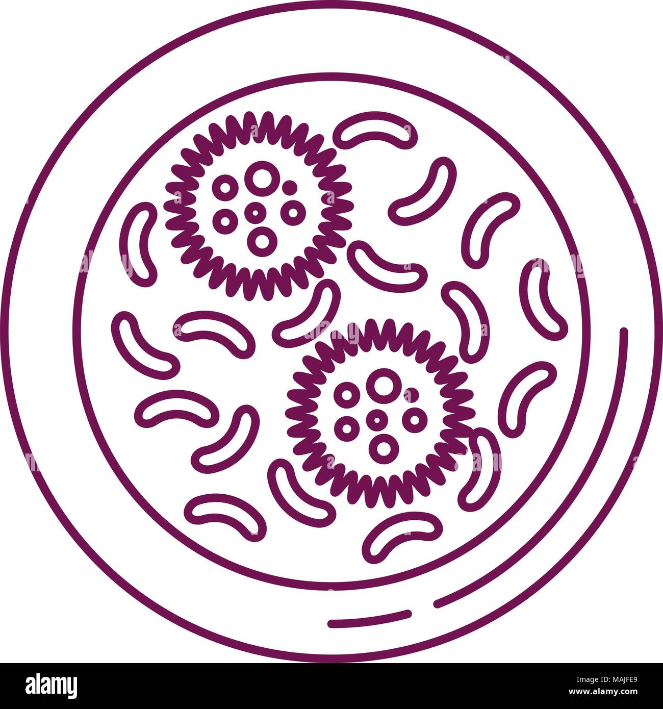 bacterial culture biolological icon vector illustration design Stock ...