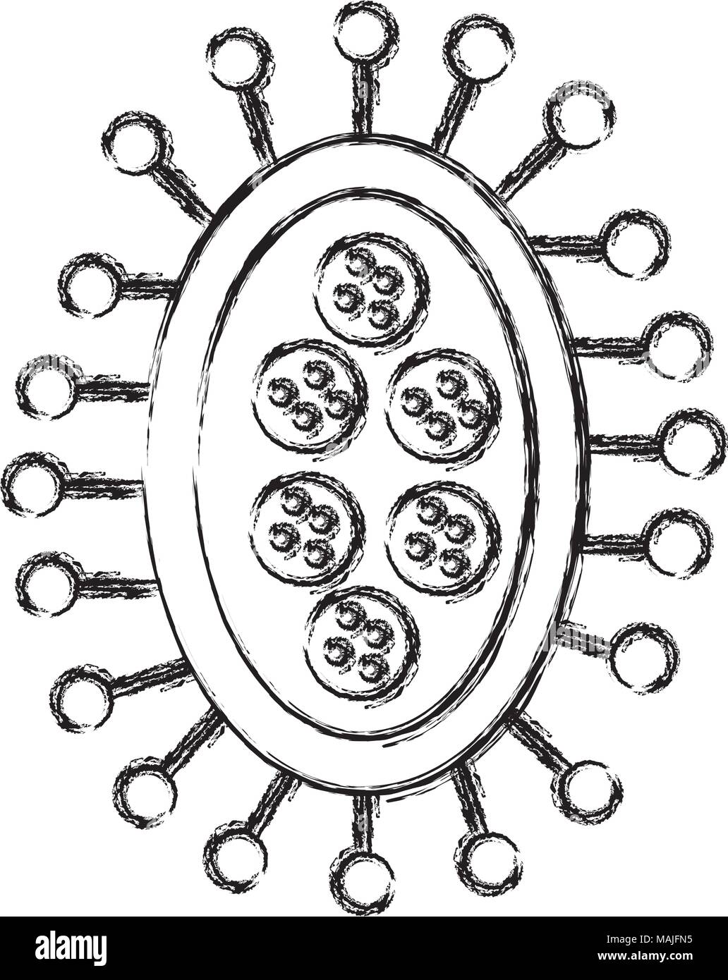 Unicellular Bacteria Drawing