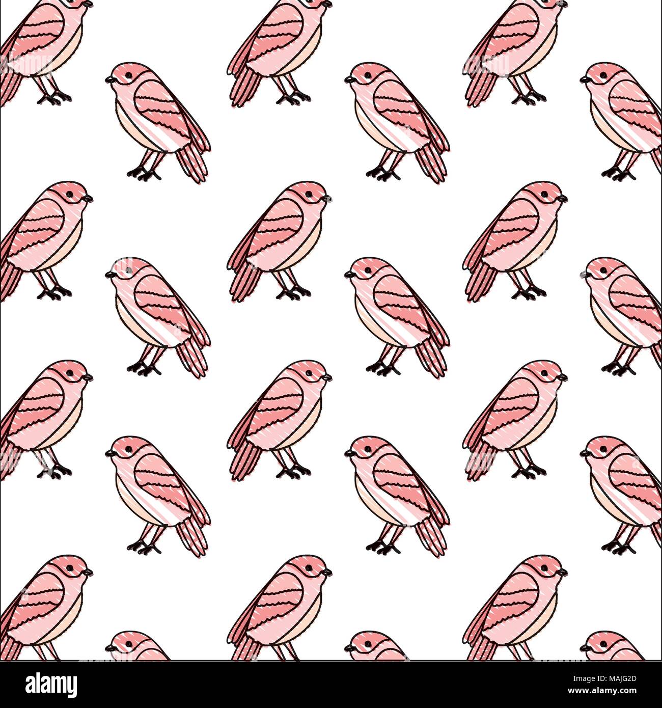 cute birds with beautiful plumage pattern vector illustration design ...