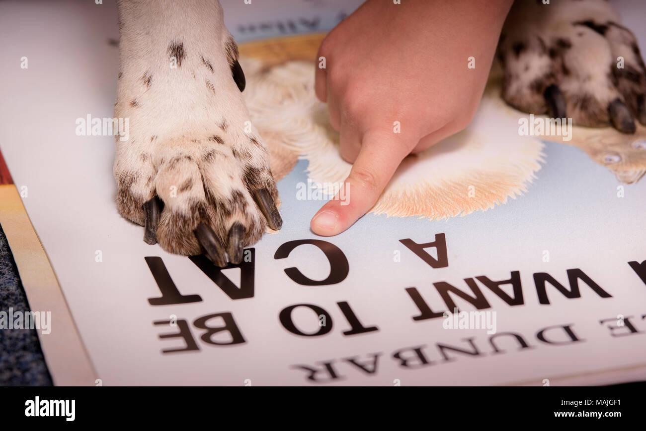 Pat alphabet hi-res stock photography and images - Alamy