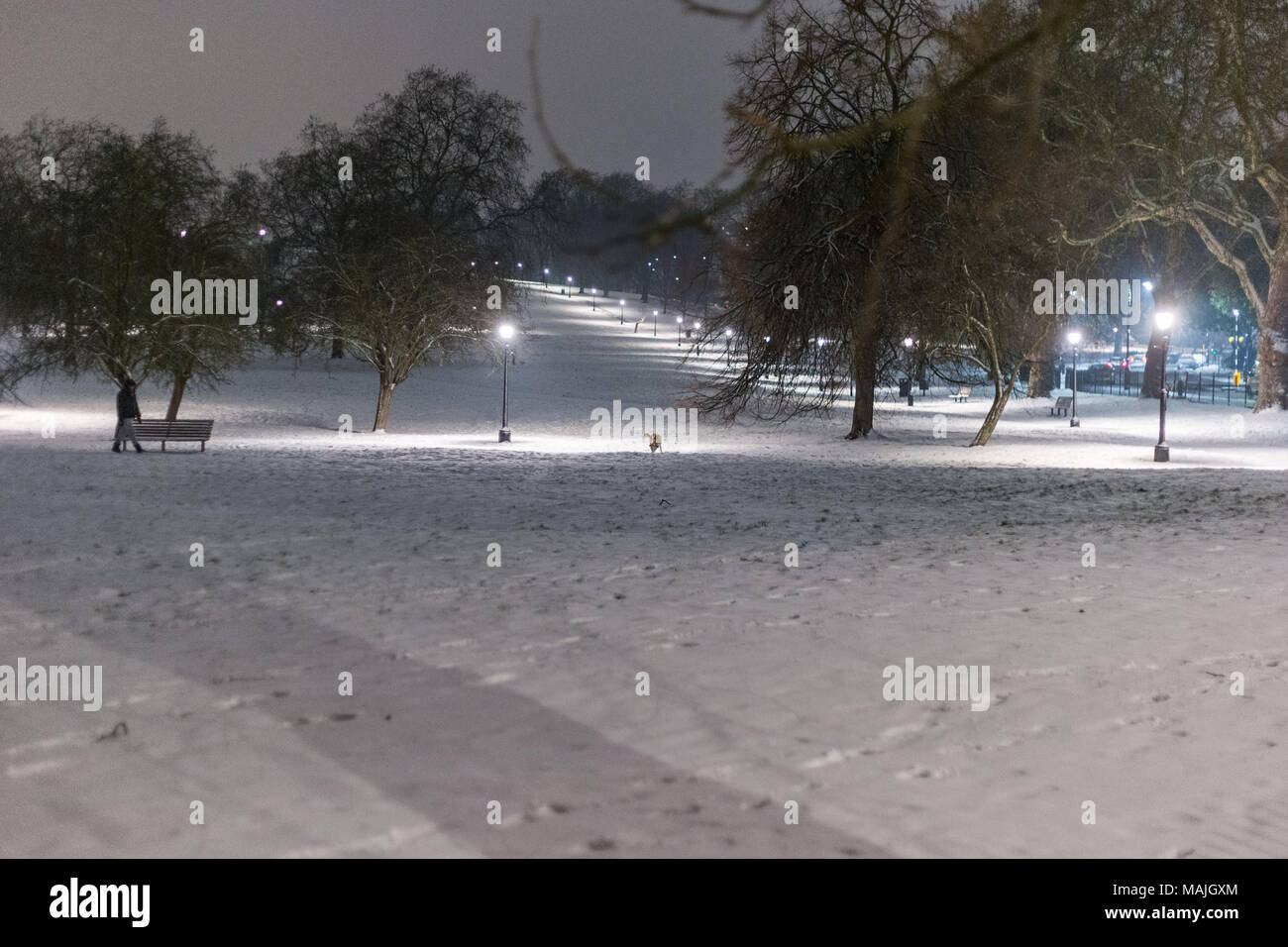 Primrose hill view night hi-res stock photography and images - Alamy