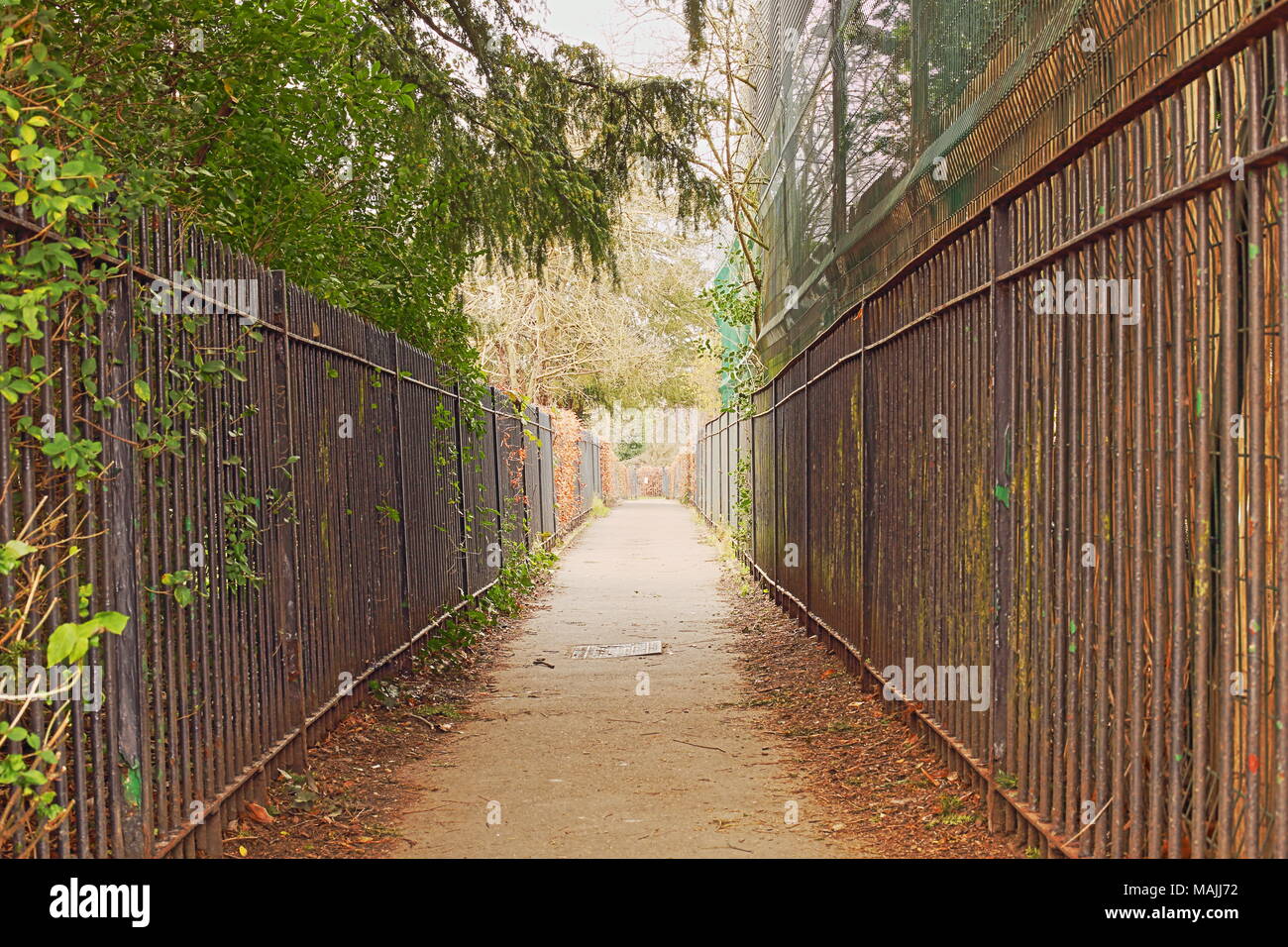 Fortune Green in West Hampstead, Camden, London Stock Photo - Alamy