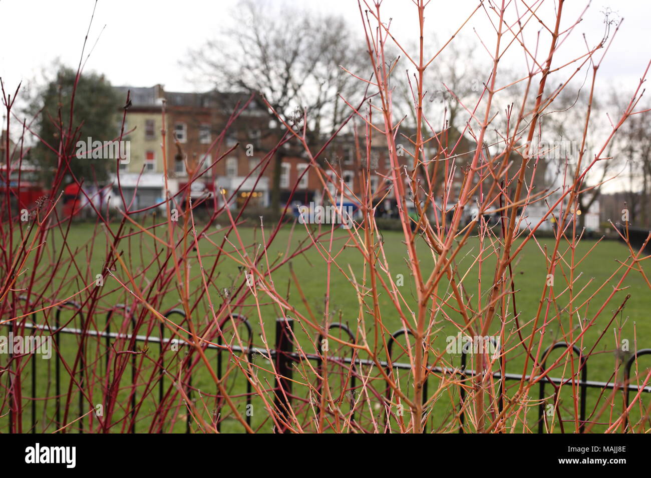 Fortune Green in West Hampstead, Camden, London Stock Photo - Alamy