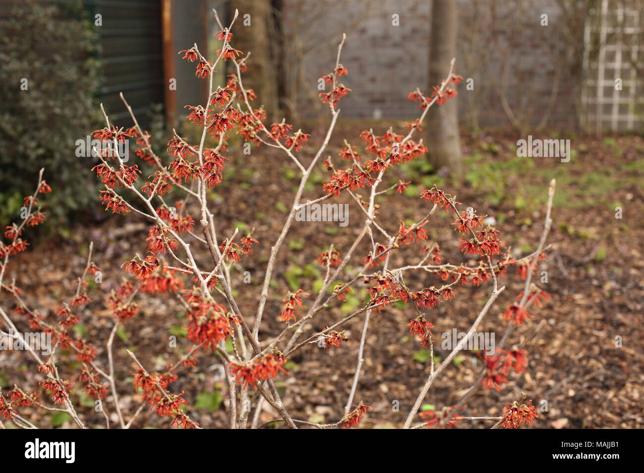 Fortune Green in West Hampstead, Camden, London Stock Photo - Alamy