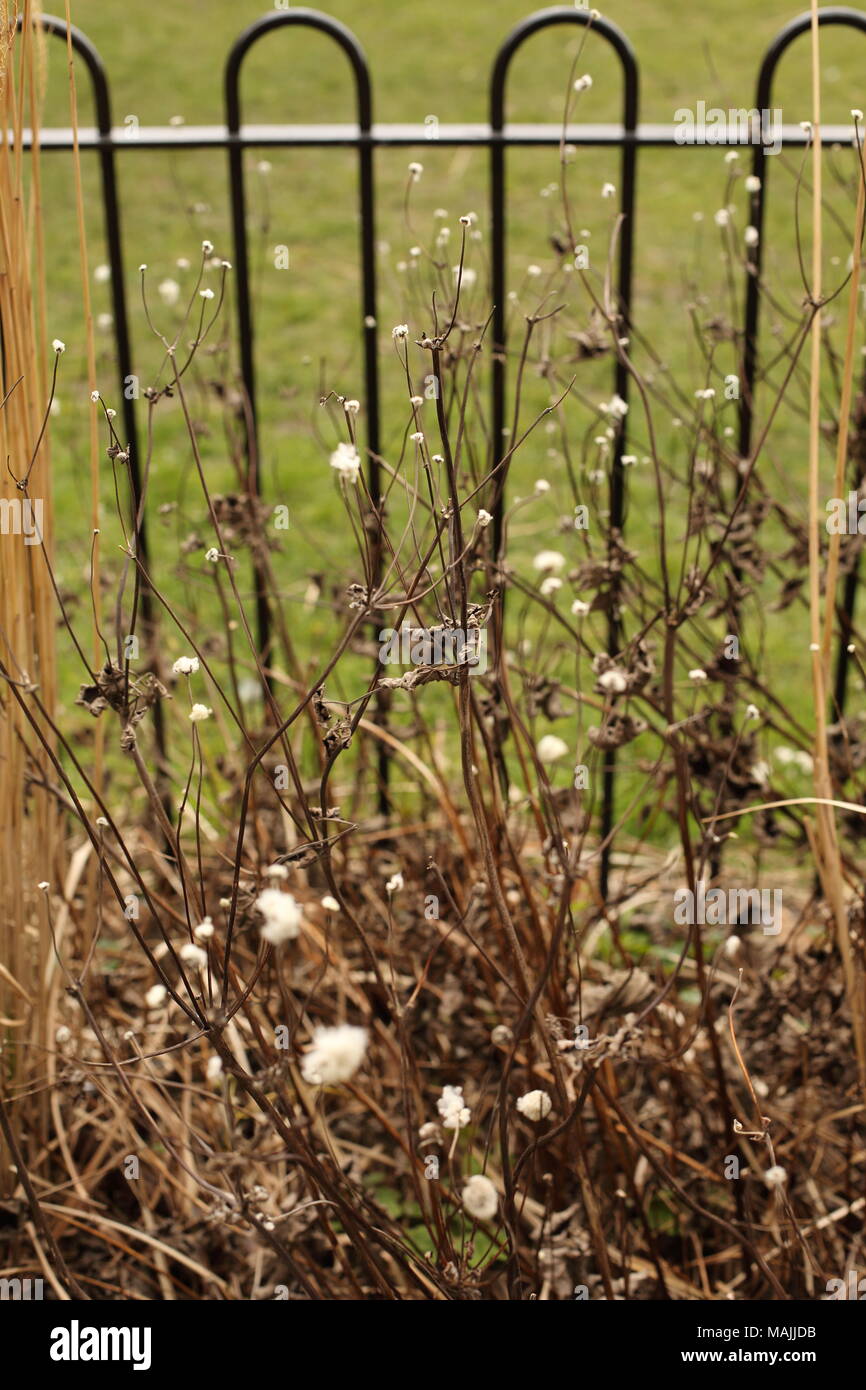 Fortune Green in West Hampstead, Camden, London Stock Photo - Alamy