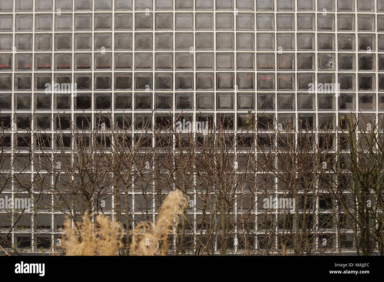 Fortune Green in West Hampstead, Camden, London Stock Photo - Alamy