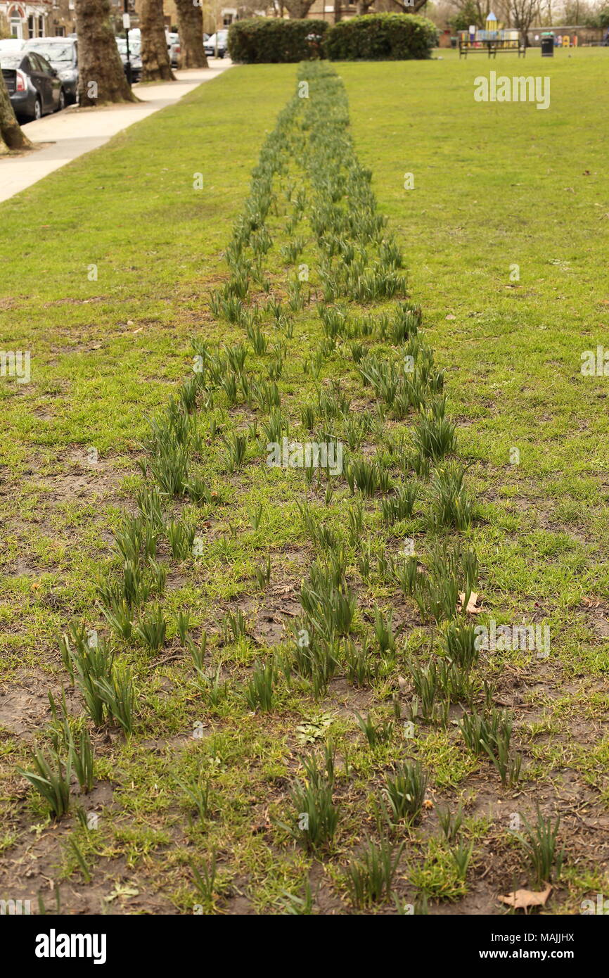 Fortune Green in West Hampstead, Camden, London Stock Photo - Alamy