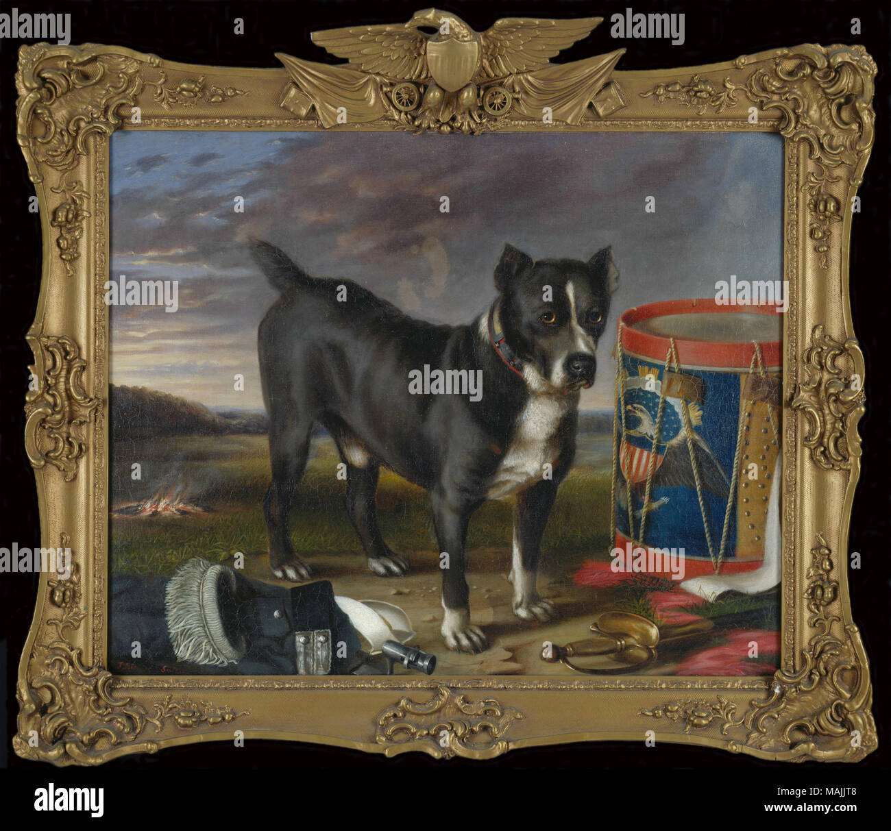Painting of a dog, Sergeant Dick, who was mascot of the St. Louis Grays ...