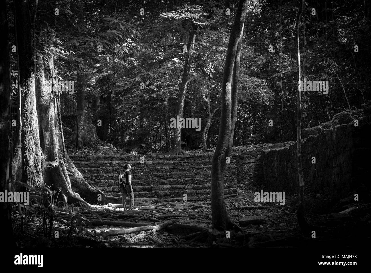 Exploring jungle hi-res stock photography and images - Alamy