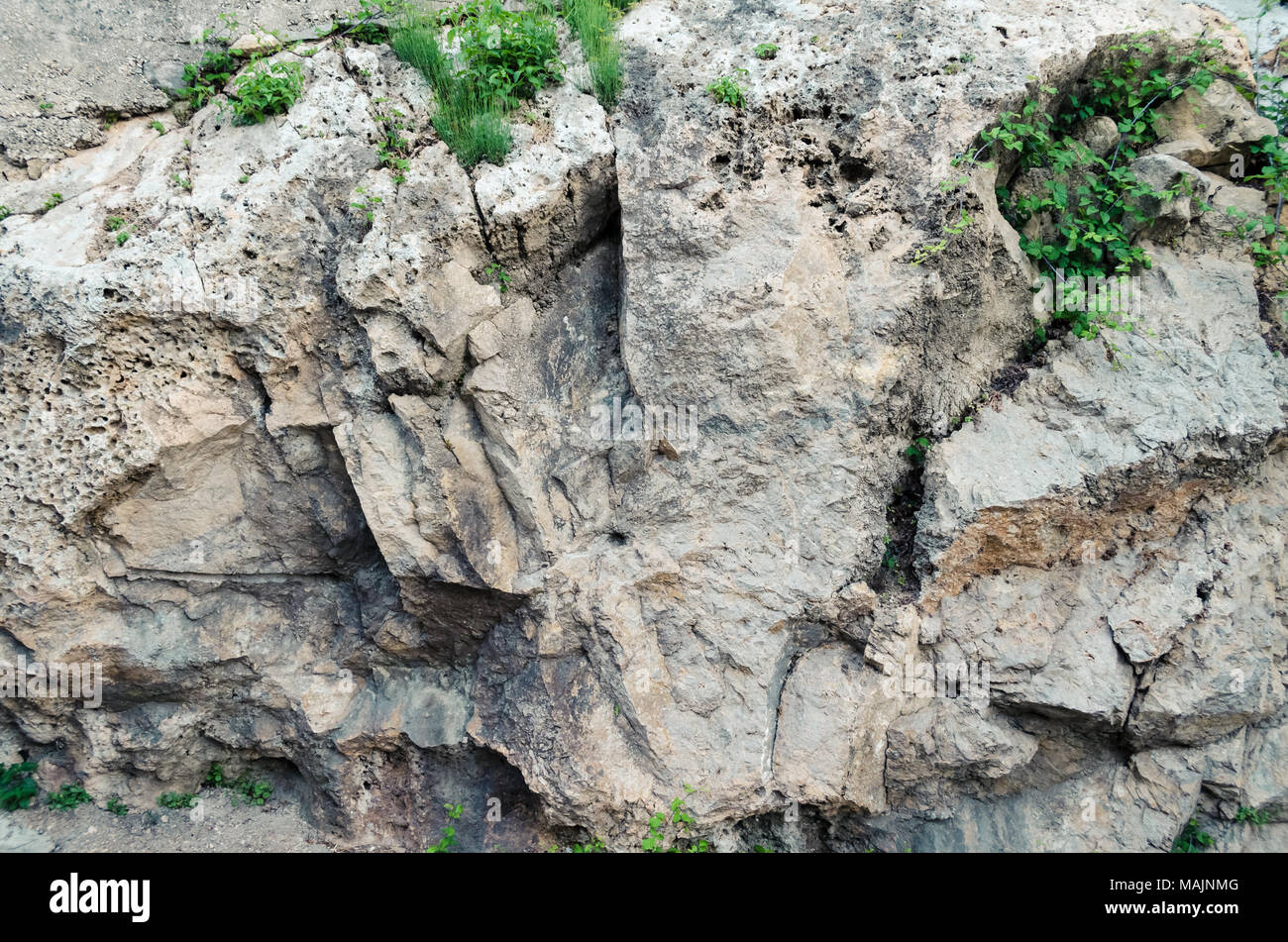 Old stone wall with green plants as background. Rock texture Stock ...