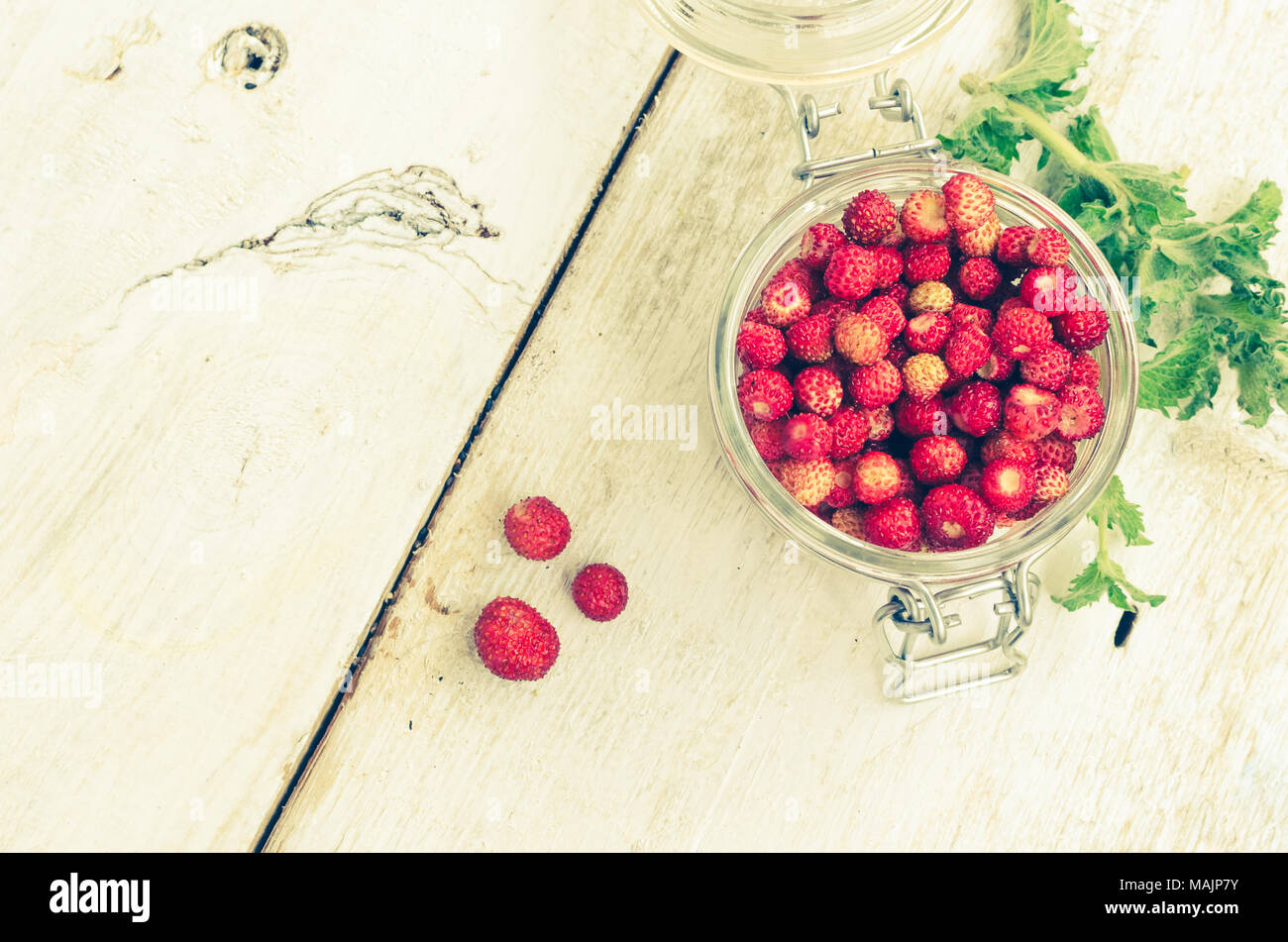 Wild strawberry in glass jar with green mint leaves on white rustic ...