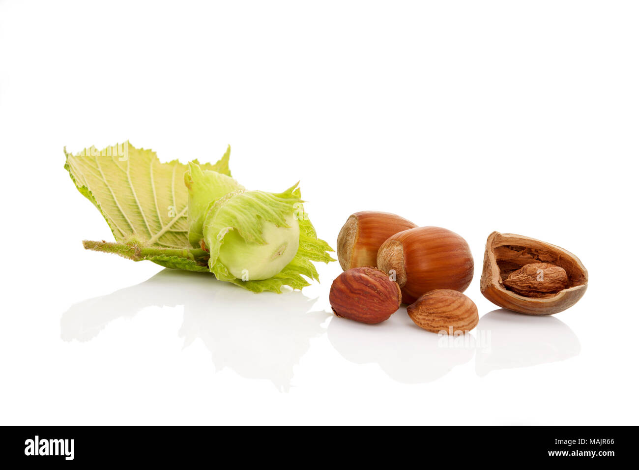 Fresh organic Hazelnuts isolated on white background with reflection ...