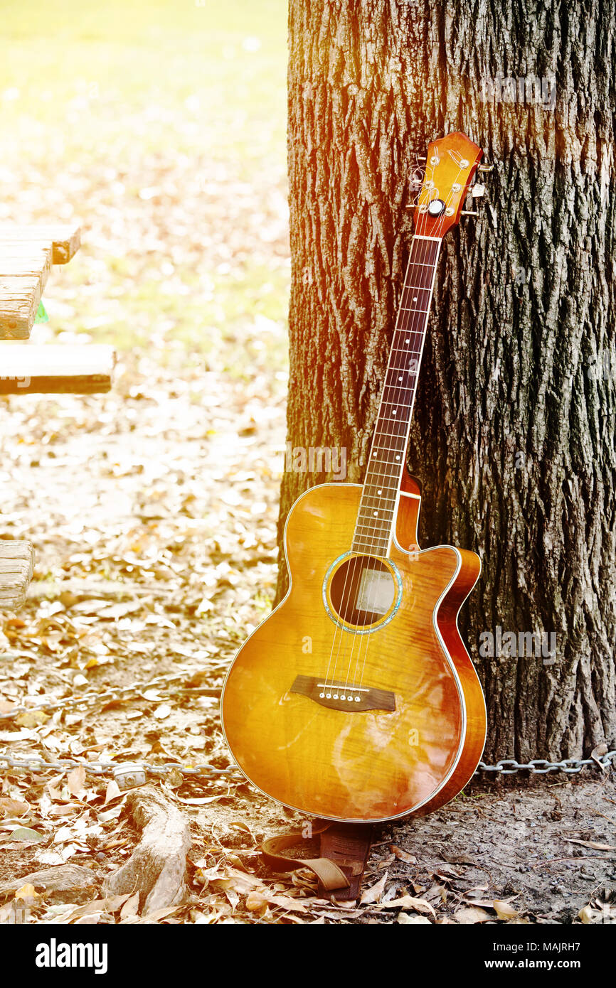 Guitar tree hi-res stock photography and images - Alamy