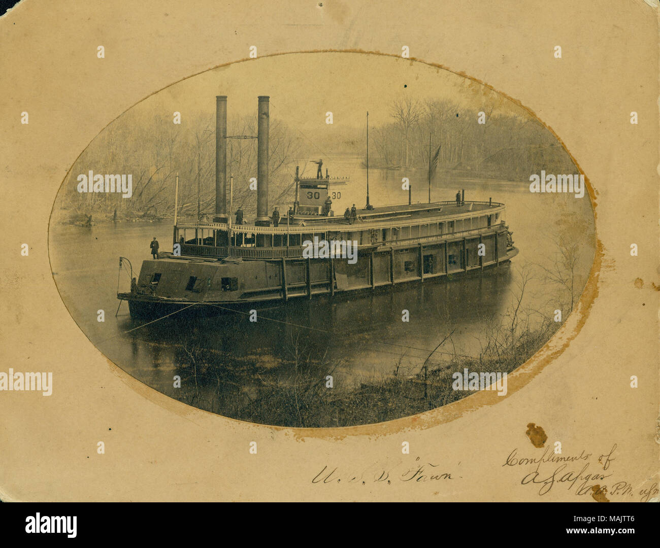 Fleet fawn hi-res stock photography and images - Alamy