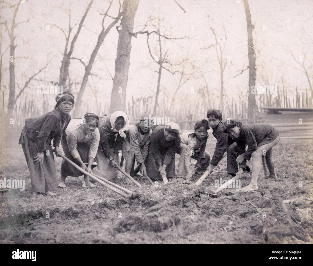 Title: 'Igorrotes tilling the land.' Philippine Reservation, Department ...