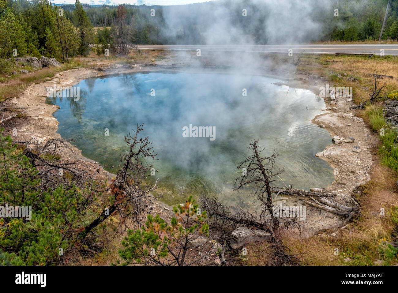 Steam rising around dead trees hi-res stock photography and images - Alamy