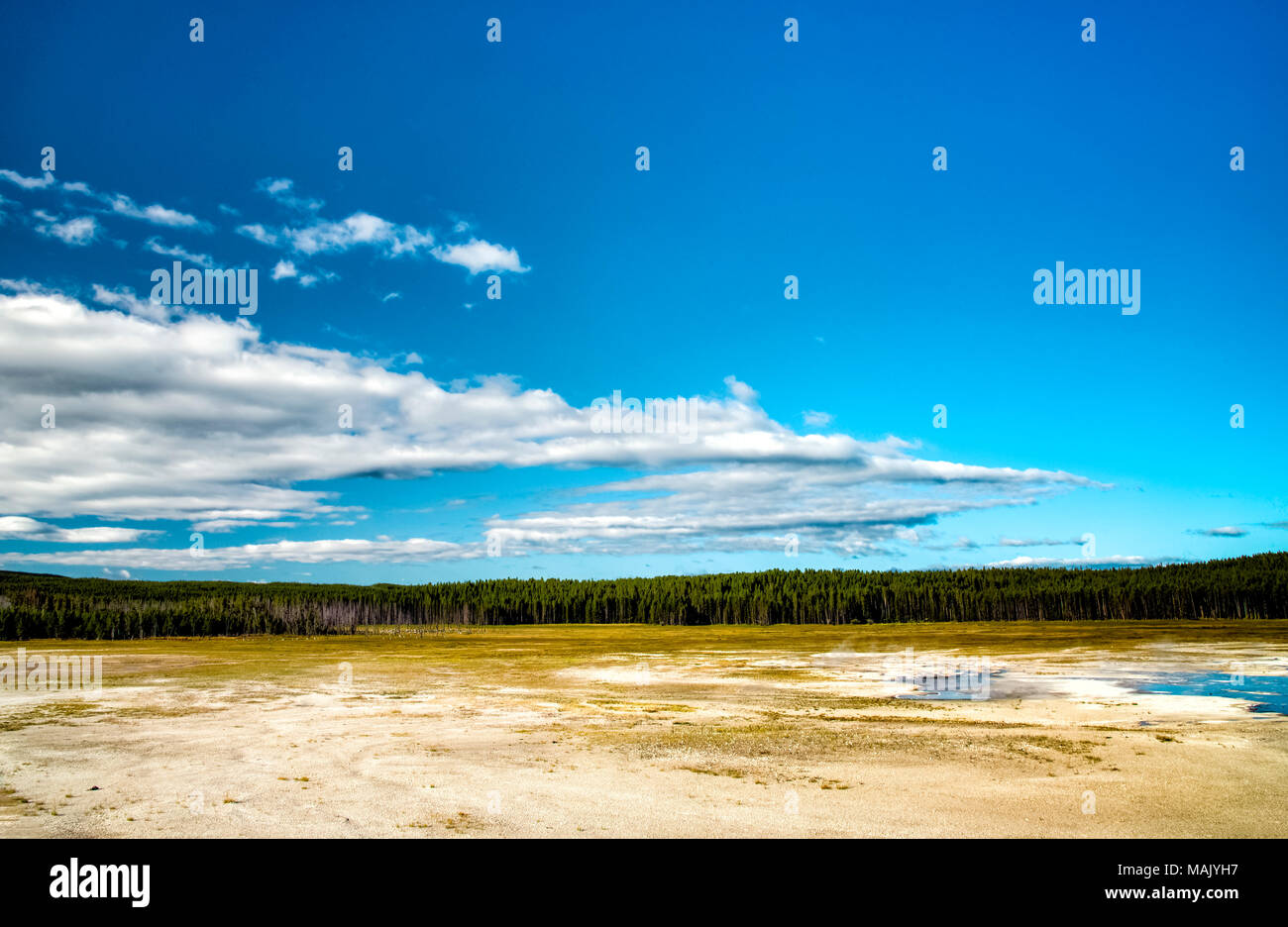Barren field with small pool of water with green forest in background ...