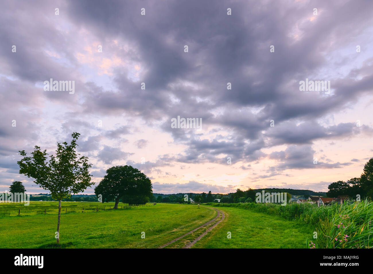 Summer grass fields hi-res stock photography and images - Alamy