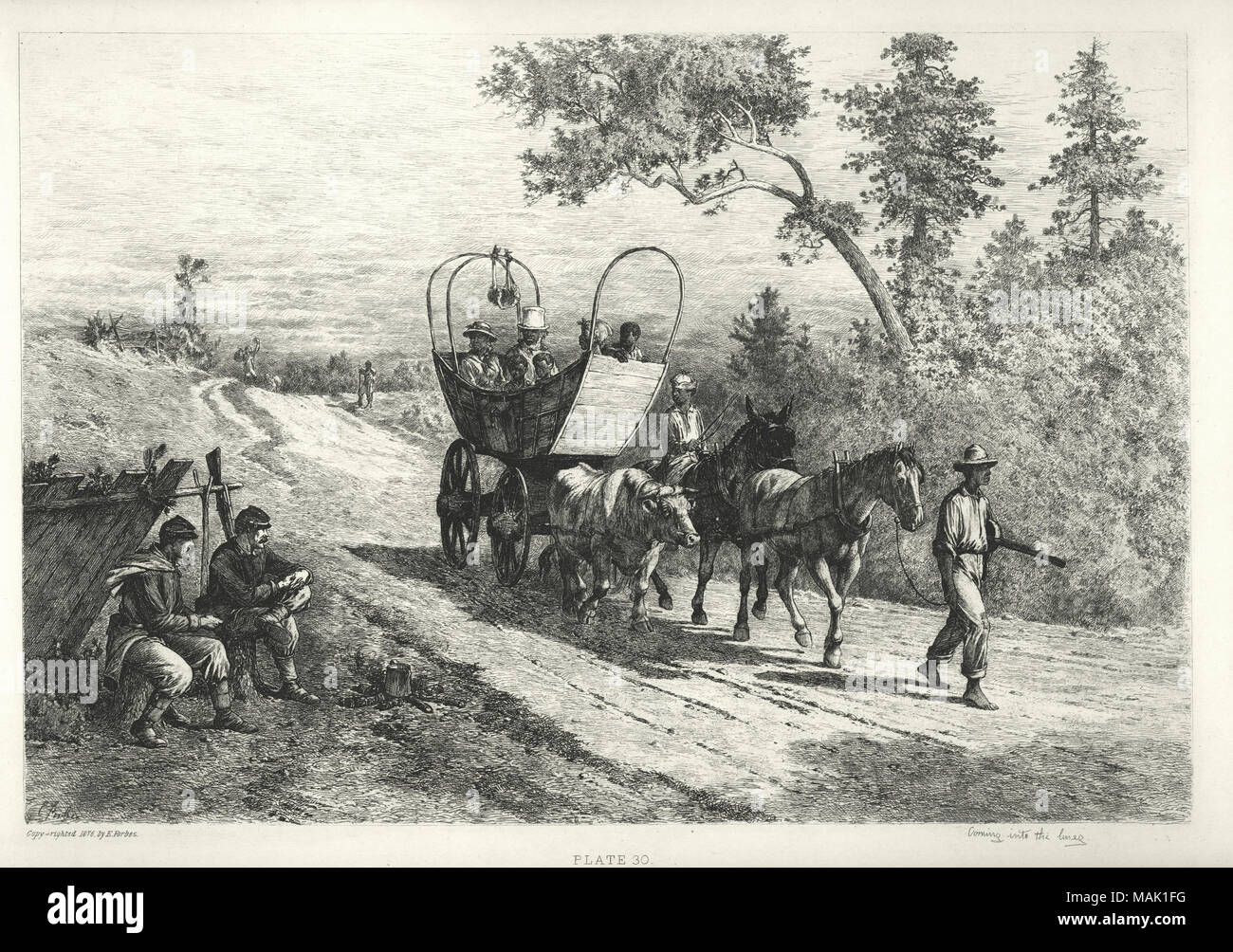 Ox drawn carriage hi-res stock photography and images - Alamy