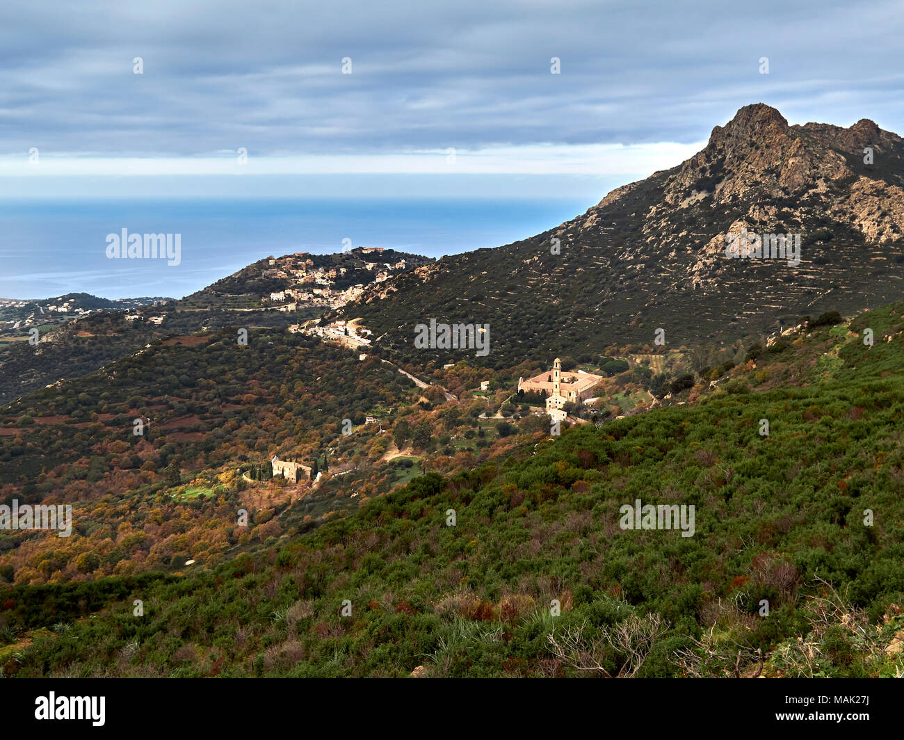 Corsica trees hi-res stock photography and images - Alamy
