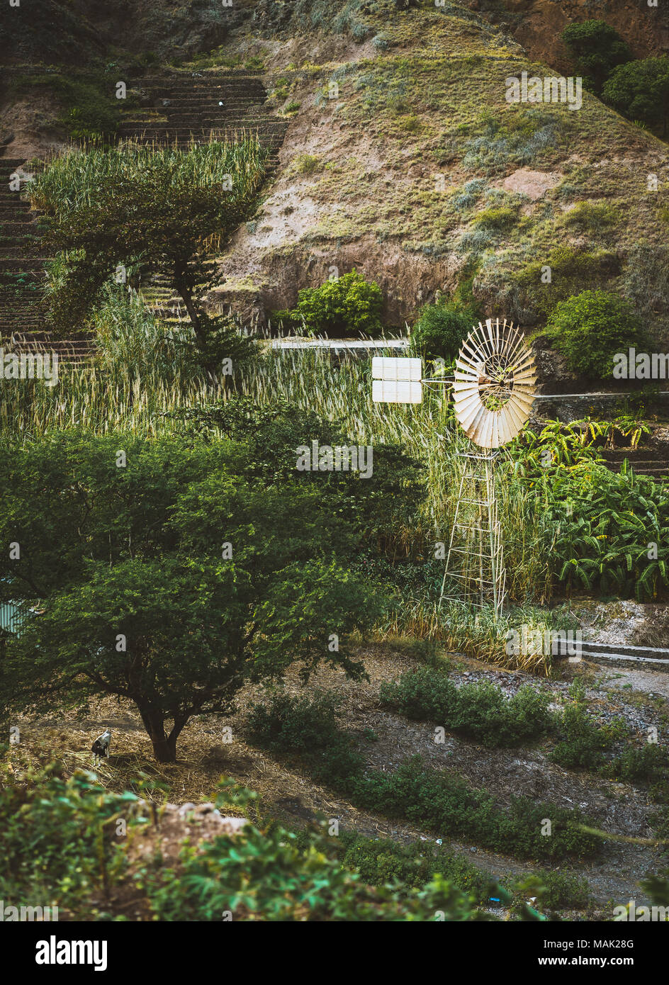 Vintage farm windmill among lush green garden Stock Photo - Alamy