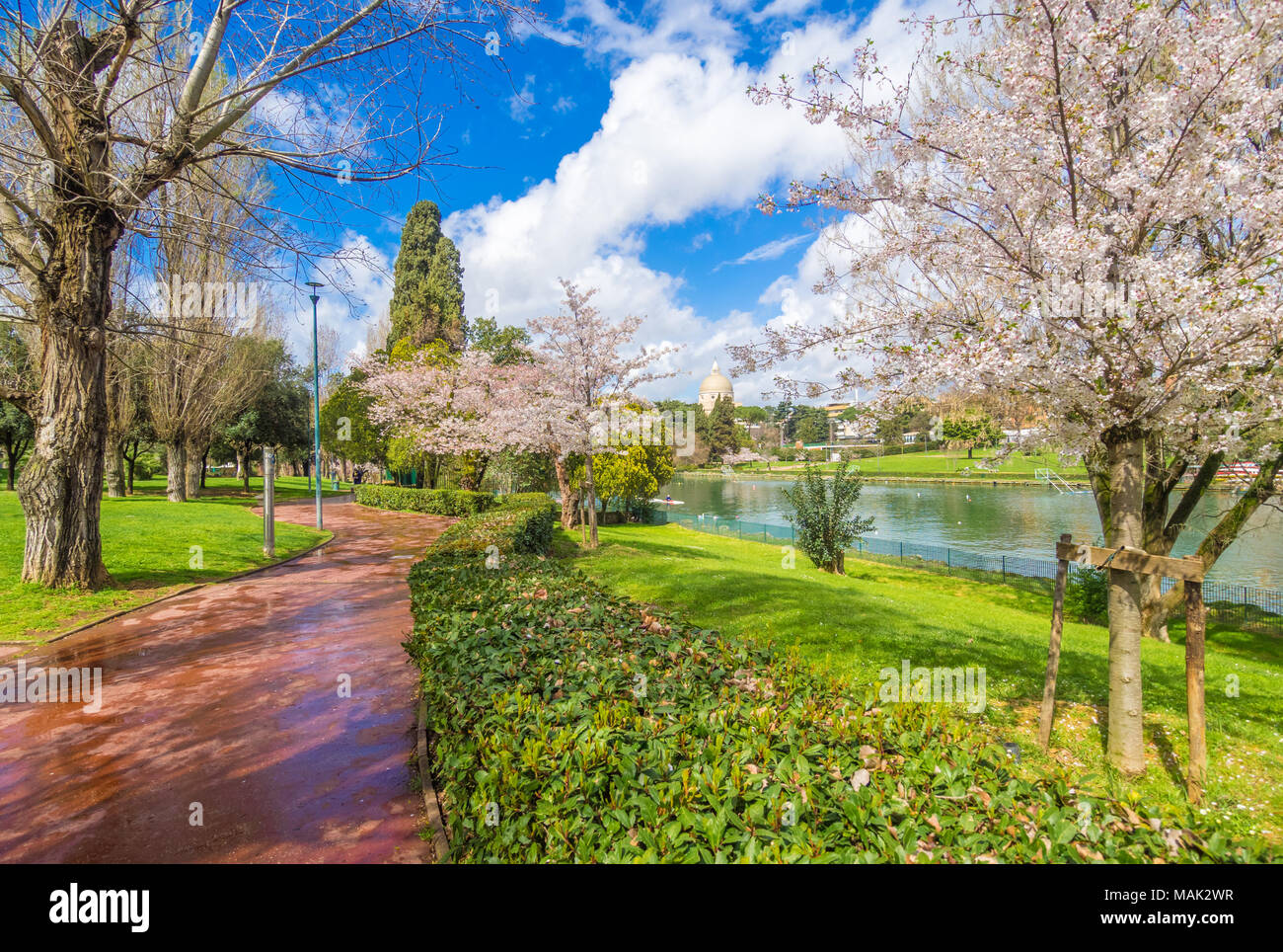 Rome, Italy - The spring flowering of Japanese cherry trees, called ...