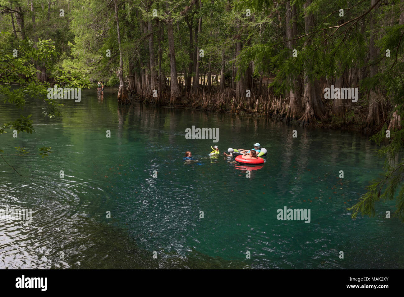 Manatee springs state park hi-res stock photography and images - Alamy