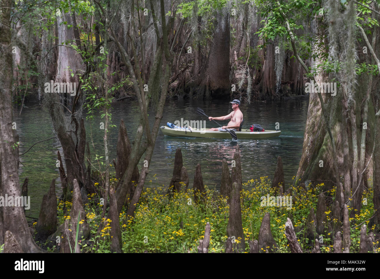 Kayak florida 'springs hi-res stock photography and images - Alamy