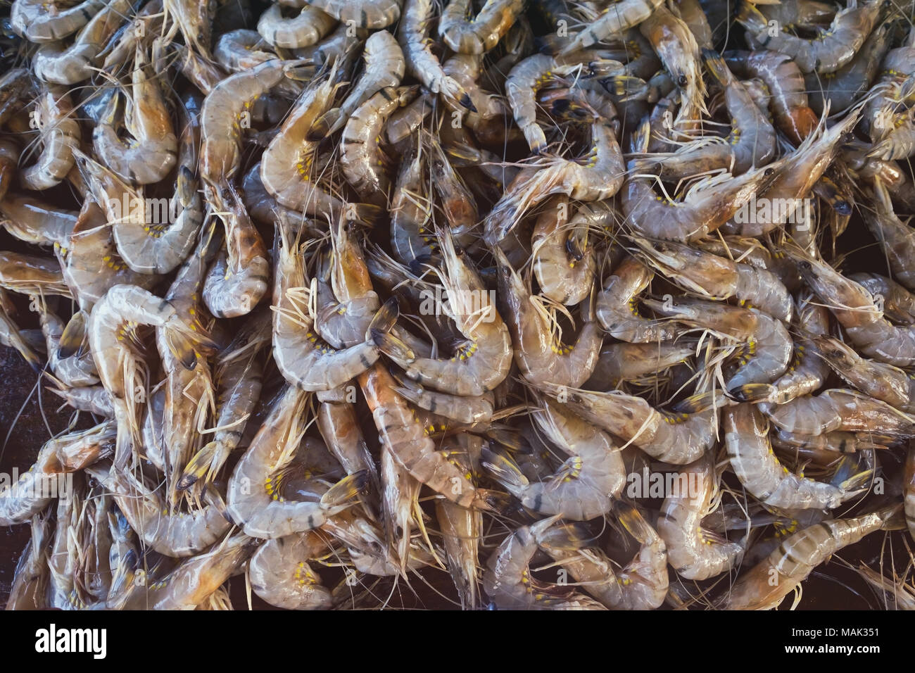 Close up fresh prawn, fresh shrimp seafood lying on table Stock Photo ...