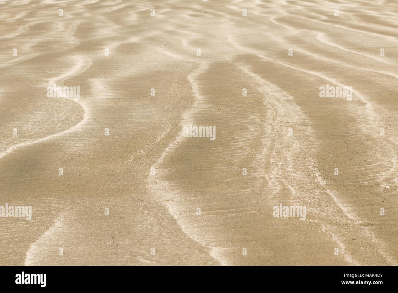 Wavy lines of sea salt on sandy Mackenzie beach in Tofino, BC Stock ...