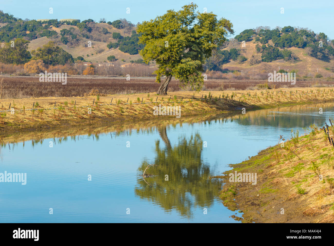 American Landscape Trees and River and Blue Sky Stock Photo - Alamy