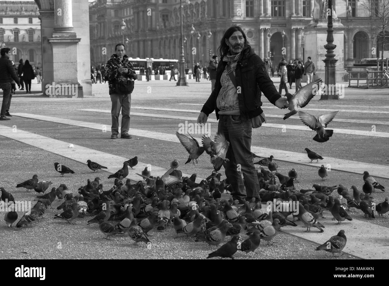 The Pigeon Guy Stock Photo - Alamy