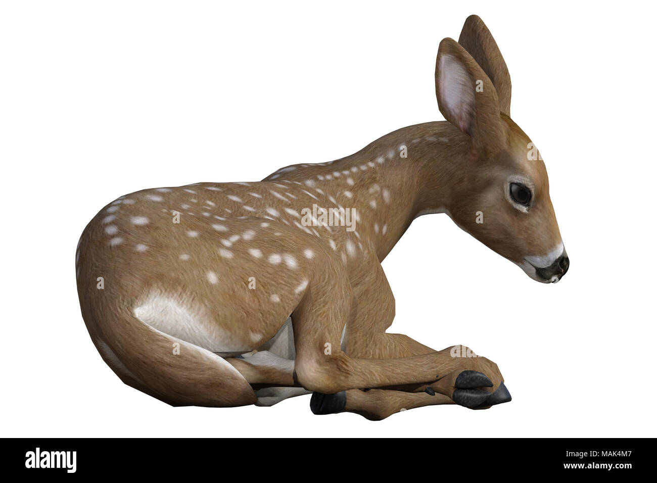 Baby red deer Cut Out Stock Images & Pictures - Alamy