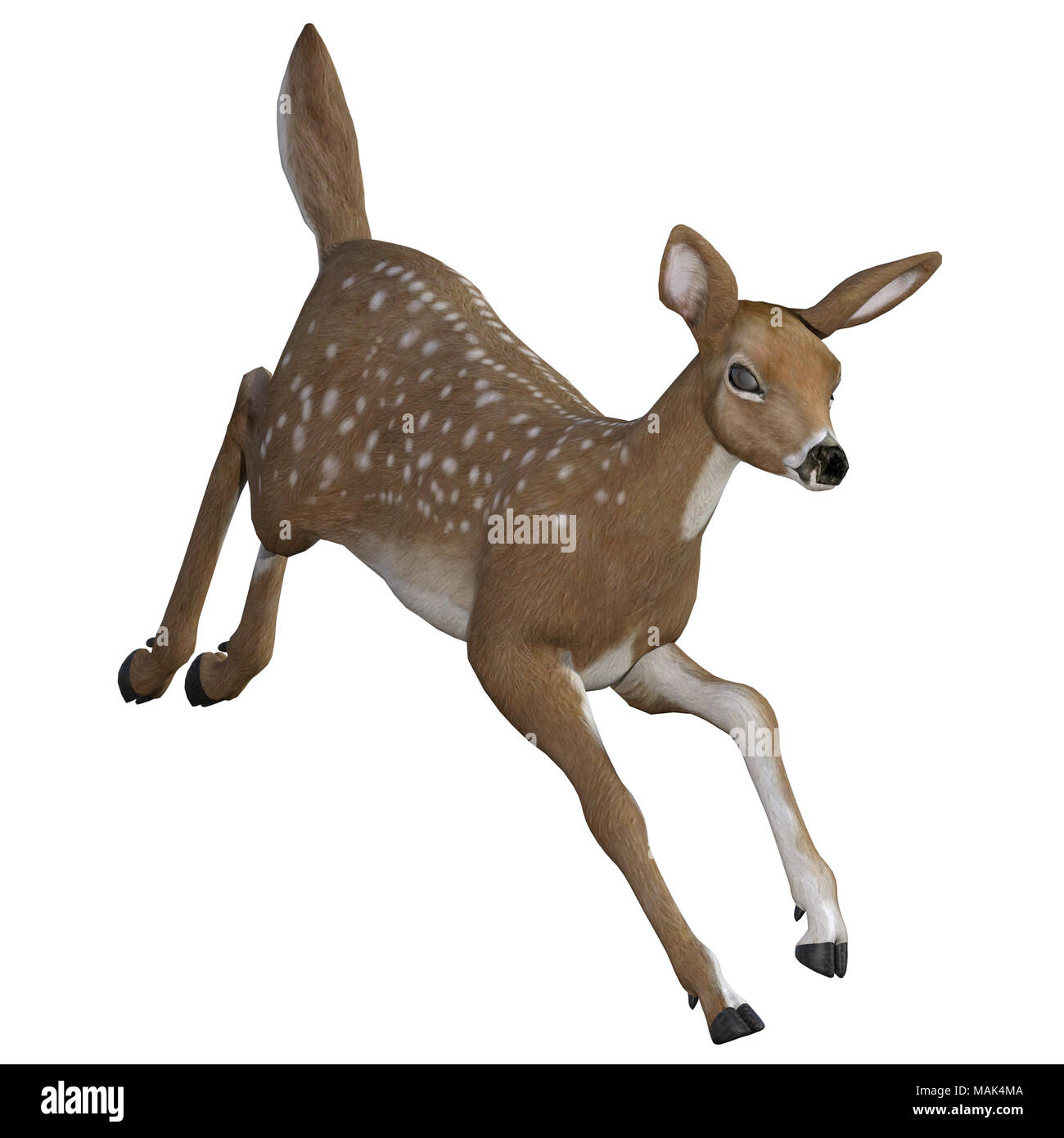 Whitetail spotted fawn Cut Out Stock Images & Pictures - Alamy