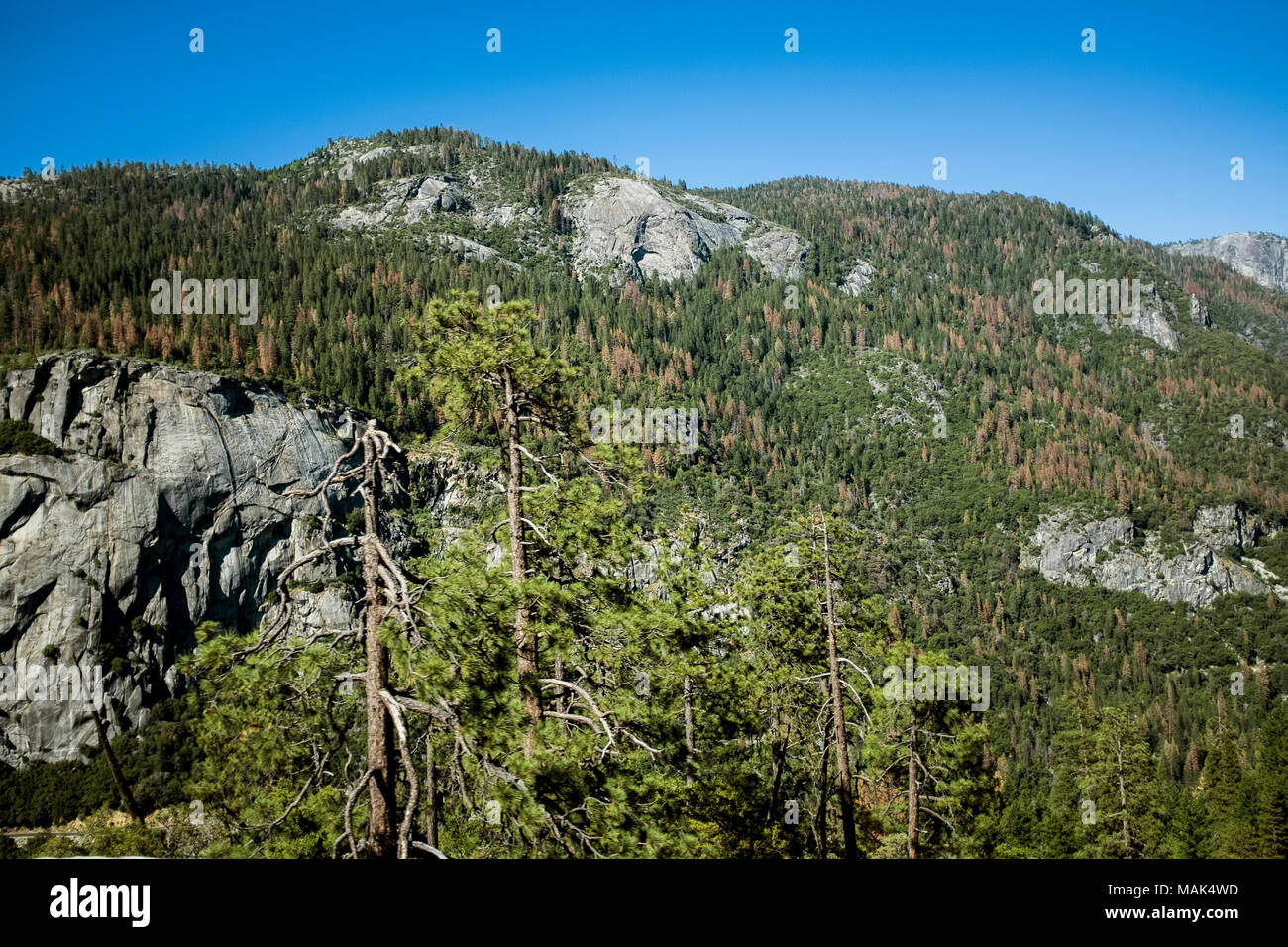 Yosemite cliff cliffs rock hi-res stock photography and images - Alamy