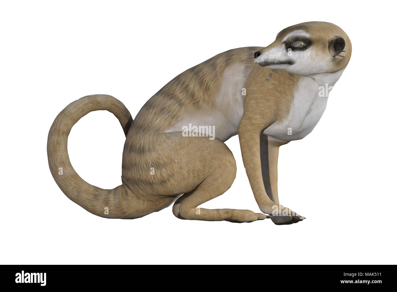 Meerkat clipart Cut Out Stock Images & Pictures - Alamy