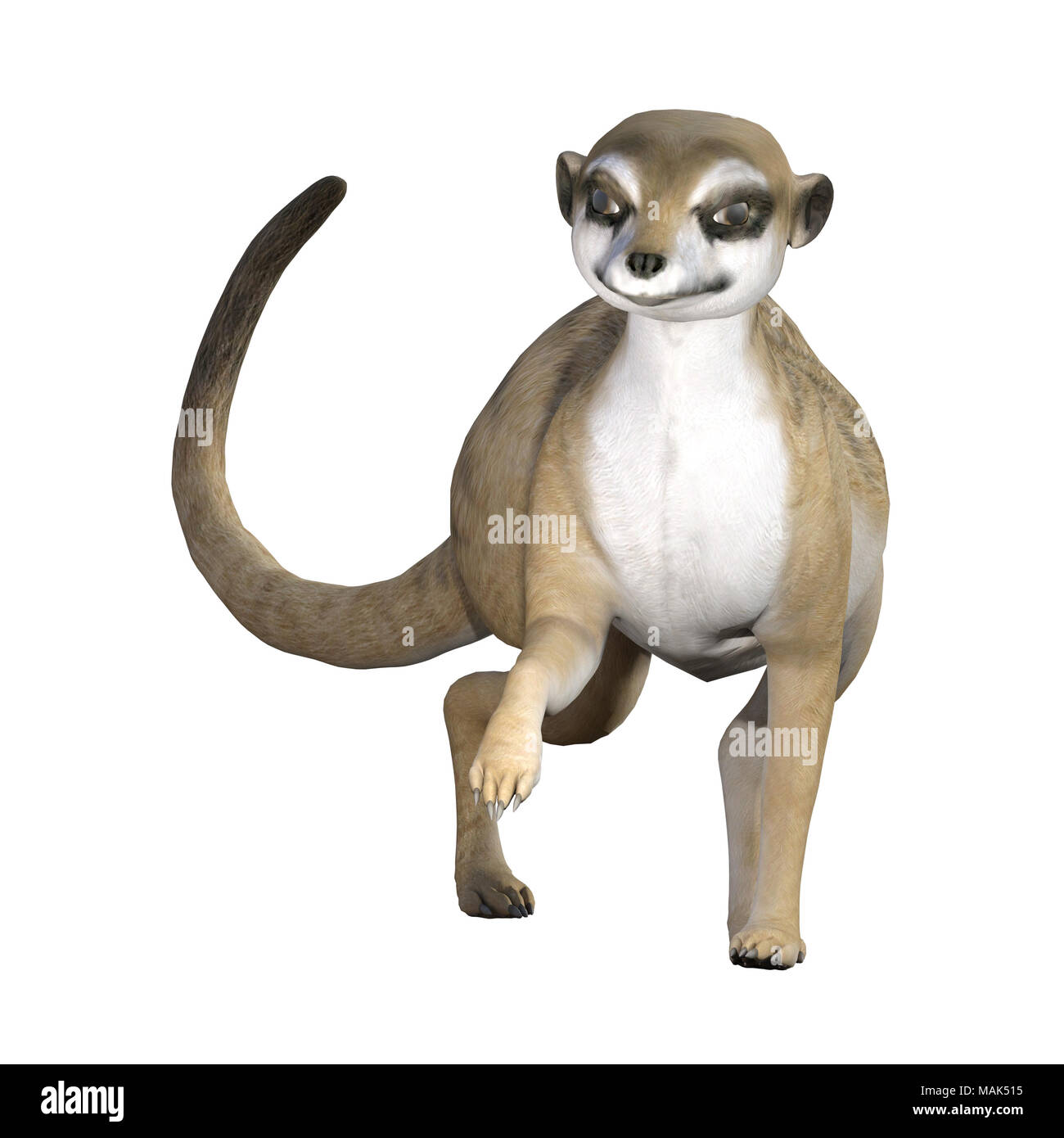 Meerkat clipart Cut Out Stock Images & Pictures - Alamy