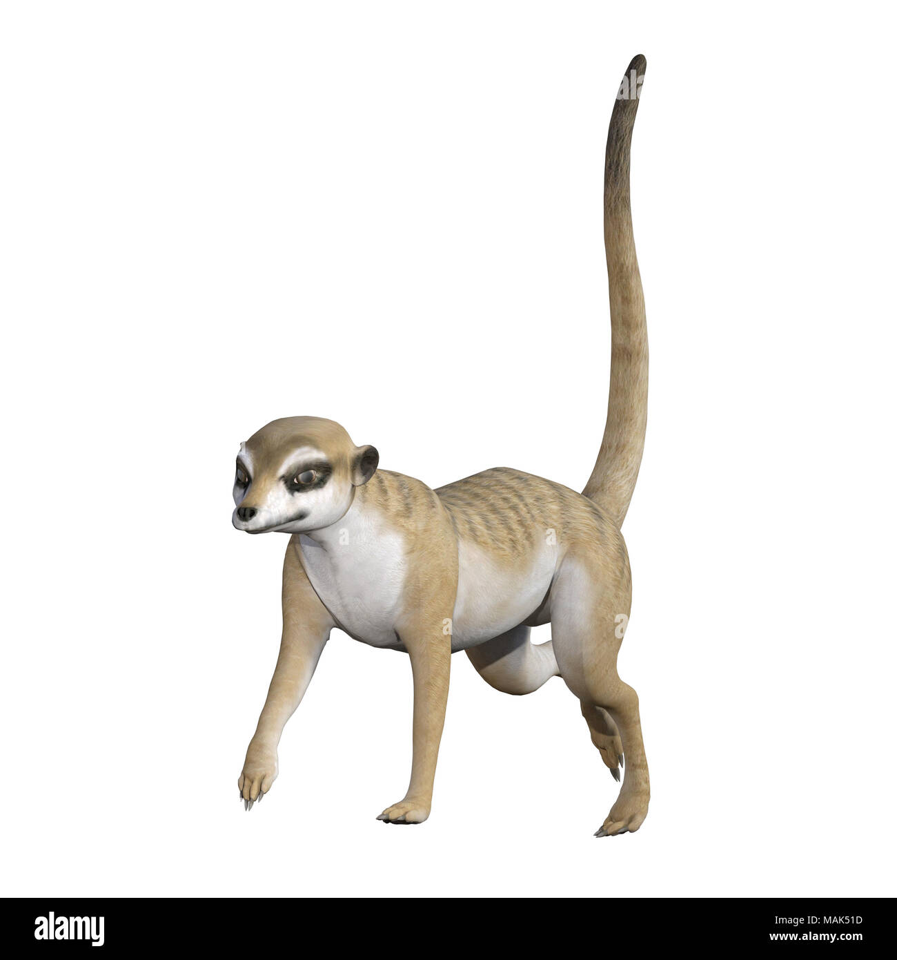 Meerkat clipart Cut Out Stock Images & Pictures - Alamy