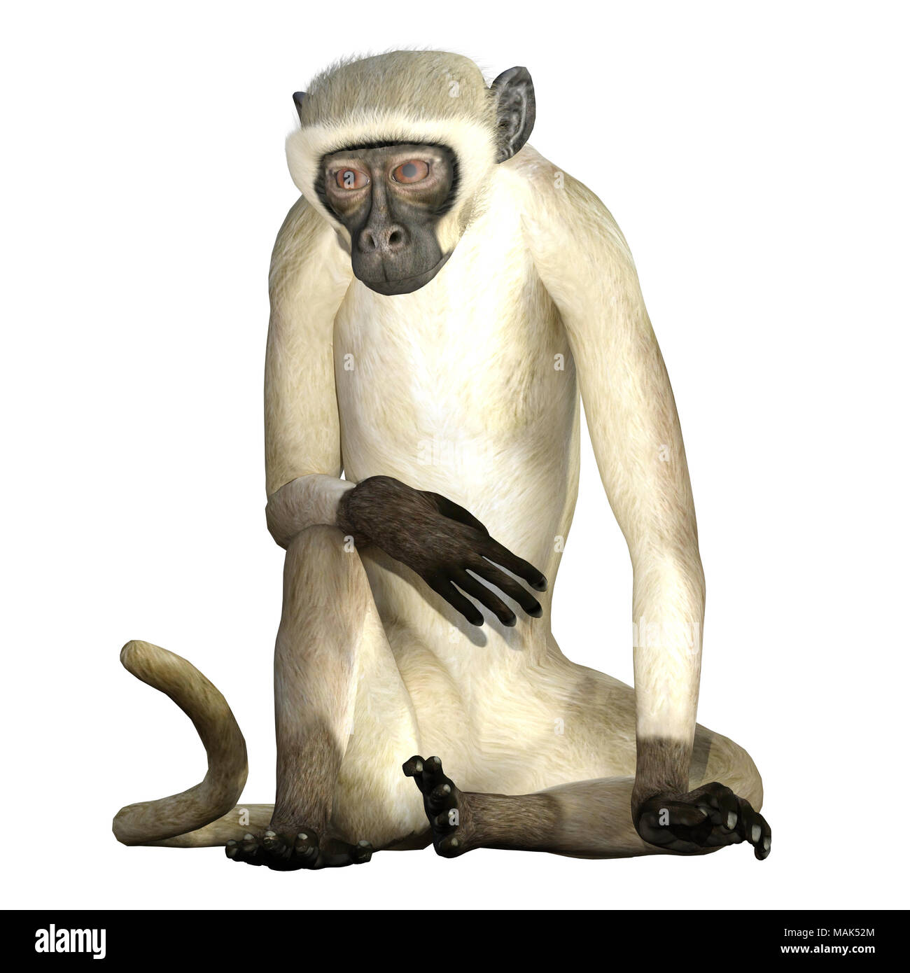 White monkey isolated on white, 3d render Stock Photo - Alamy