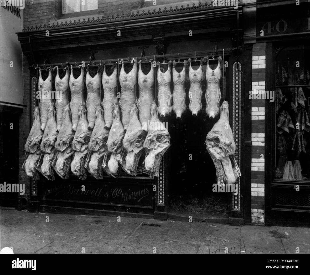 Butcher History Historical High Resolution Stock Photography and Images ...