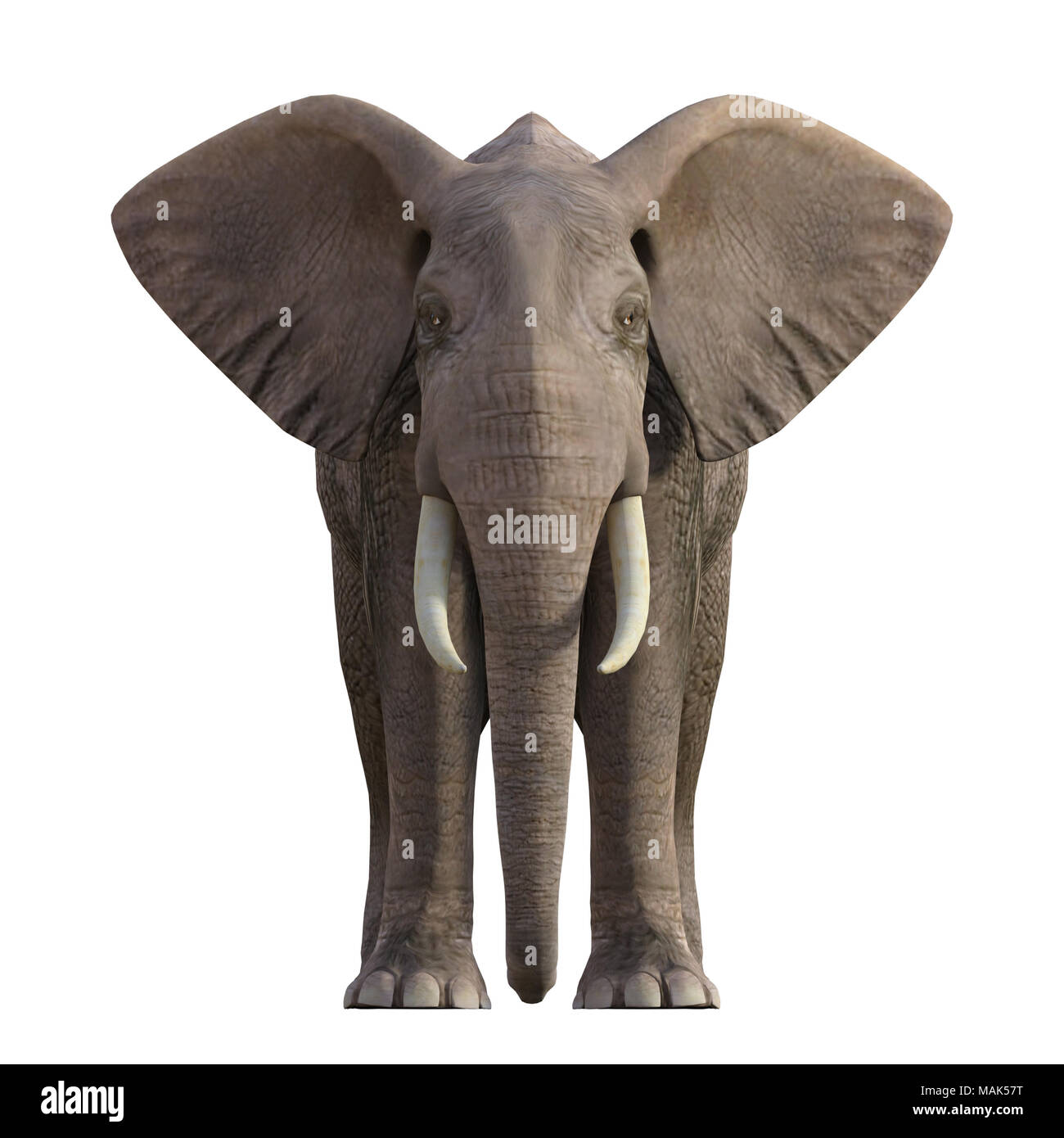 Grey Elephant isolated on white, 3d render Stock Photo - Alamy