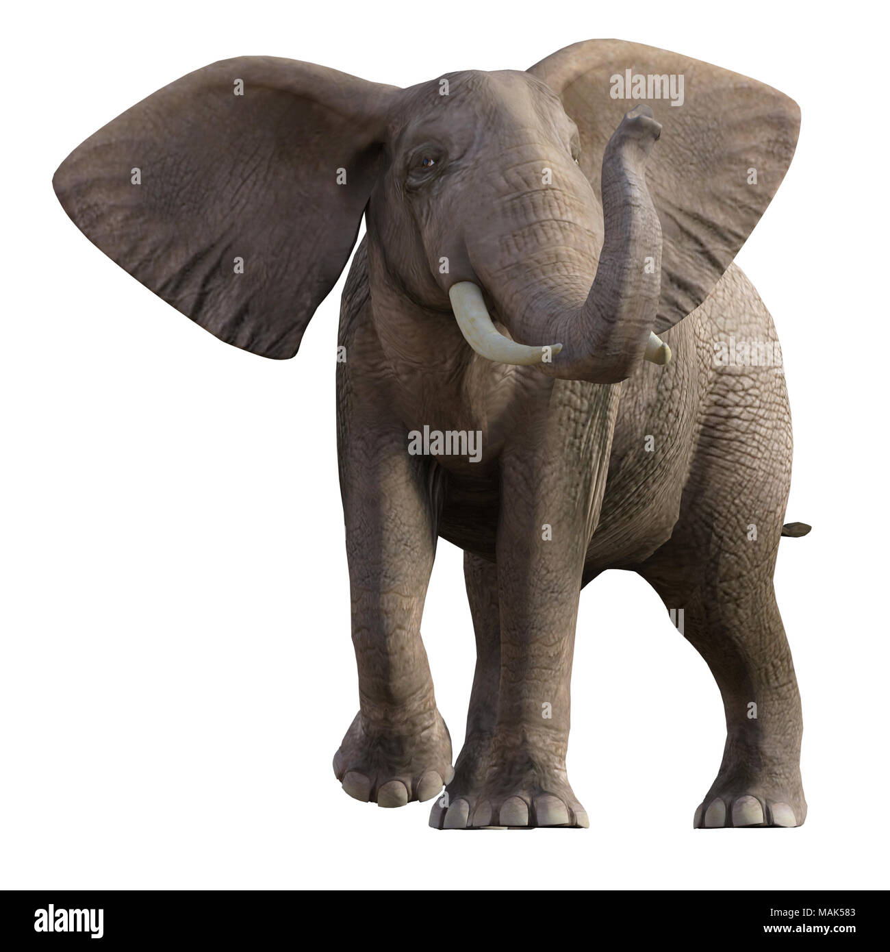 Grey Elephant isolated on white, 3d render Stock Photo - Alamy