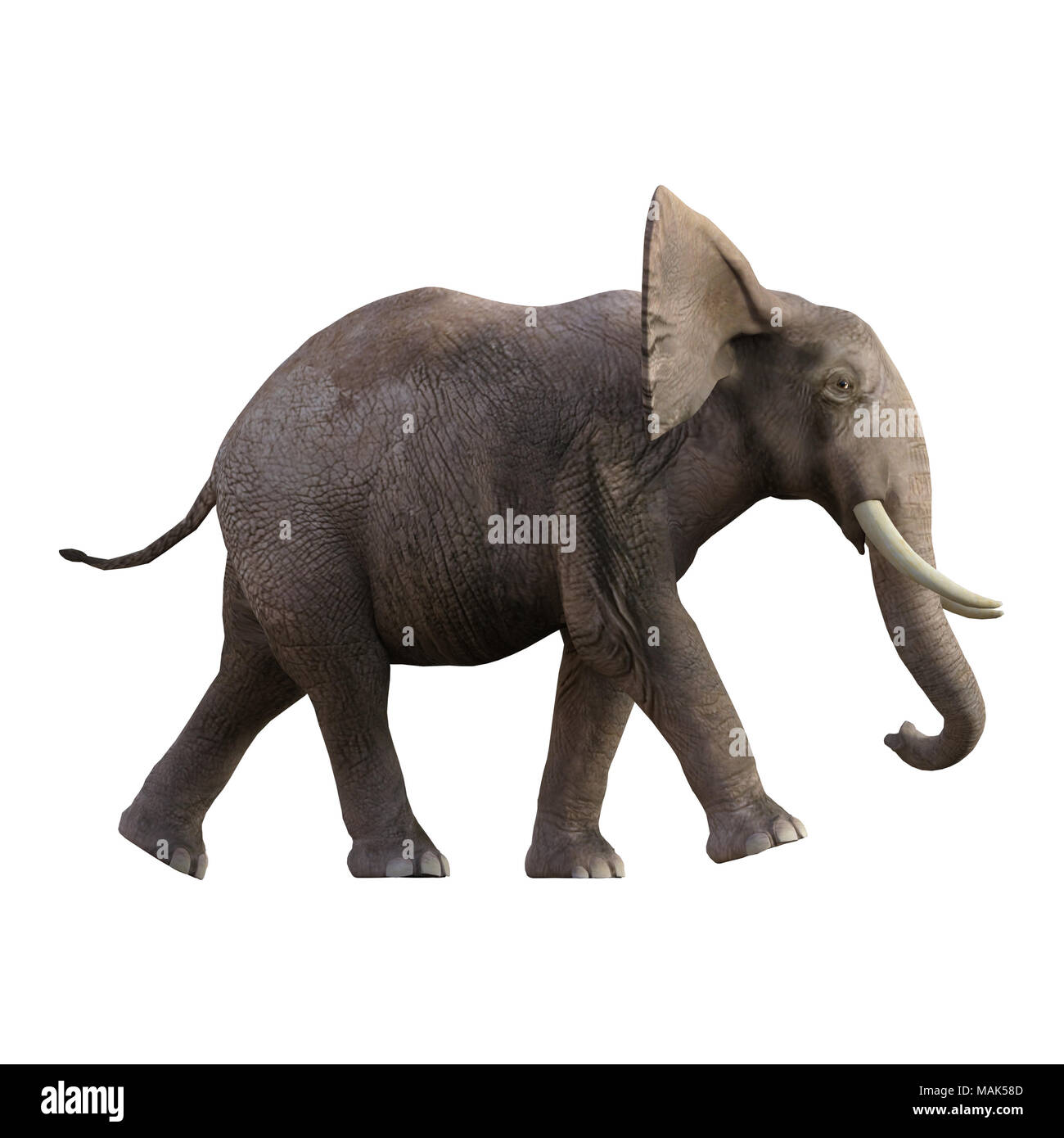 Grey Elephant isolated on white, 3d render Stock Photo - Alamy