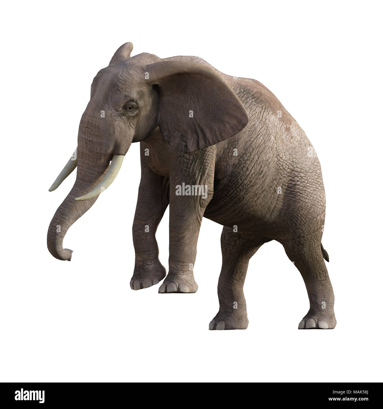 Grey Elephant isolated on white, 3d render Stock Photo - Alamy