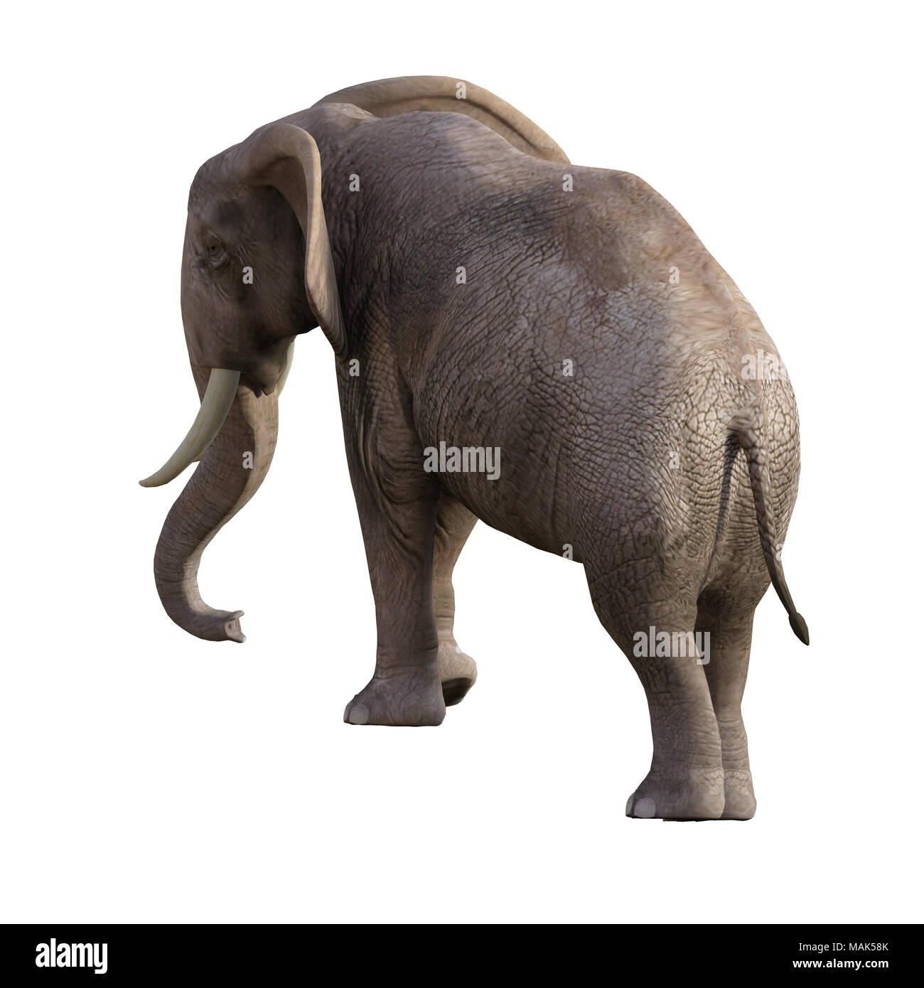 Grey Elephant isolated on white, 3d render Stock Photo - Alamy