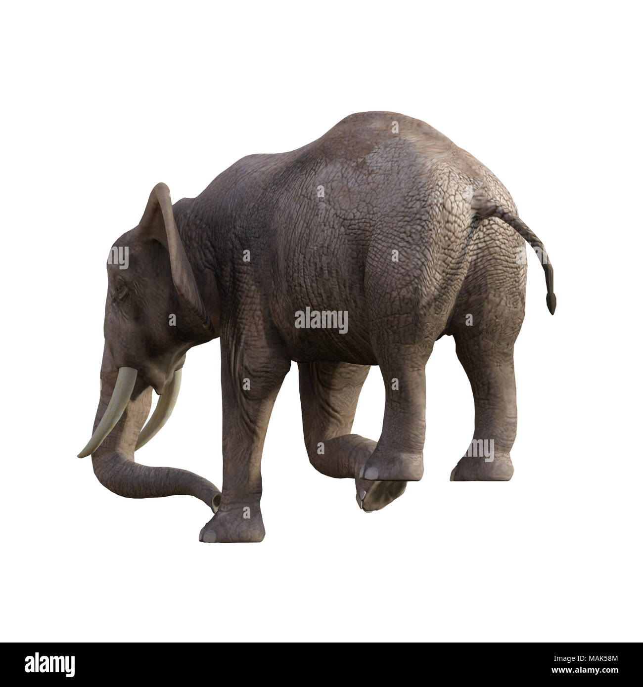 Grey Elephant isolated on white, 3d render Stock Photo - Alamy