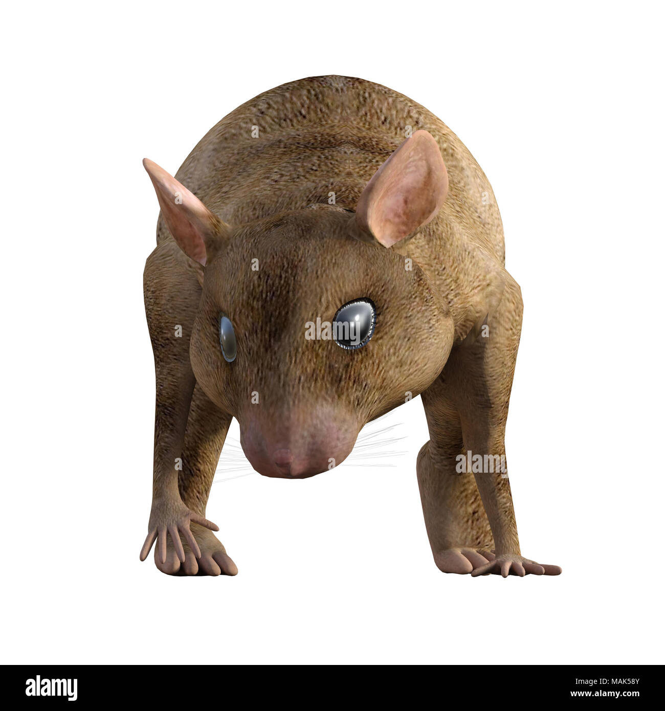 Cute cartoon house mouse isolated on white, 3d render Stock Photo - Alamy