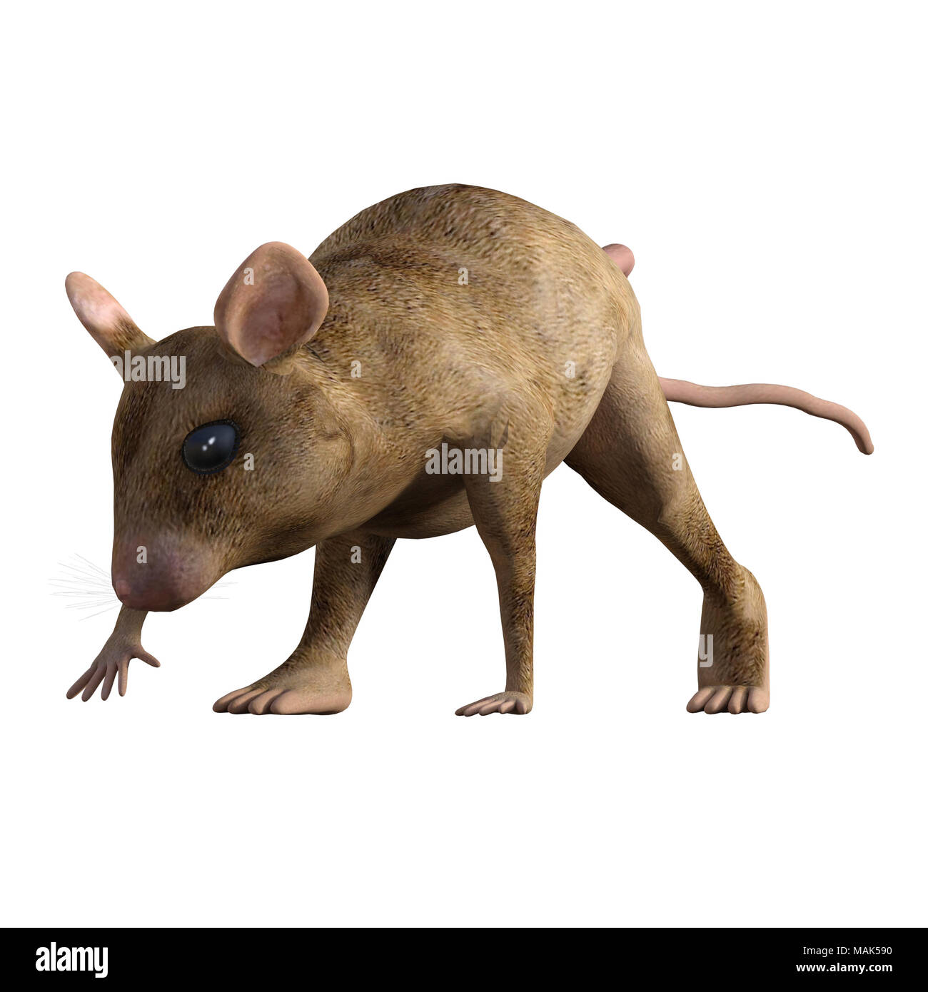 Cute cartoon house mouse isolated on white, 3d render Stock Photo - Alamy