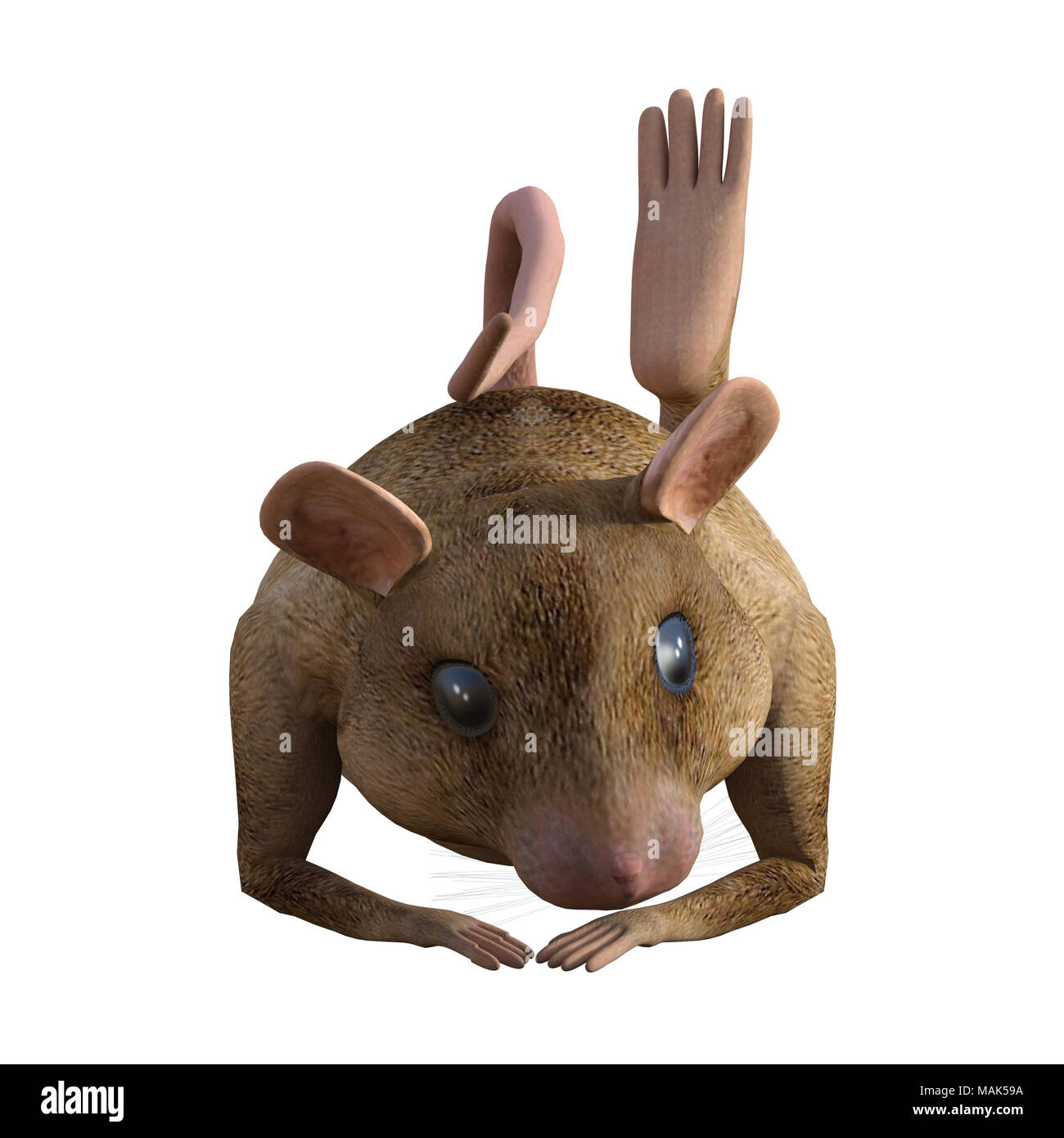 Common house mouse Cut Out Stock Images & Pictures - Alamy